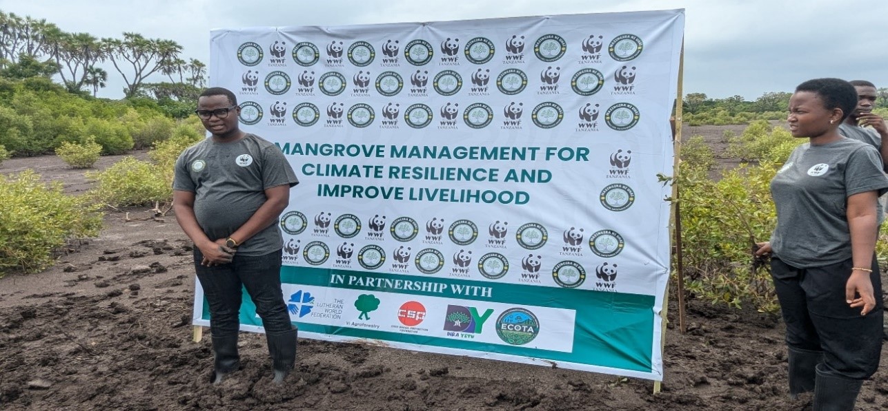 Environmental Conservation Initiatives Tanzania – Greenish For Future ...